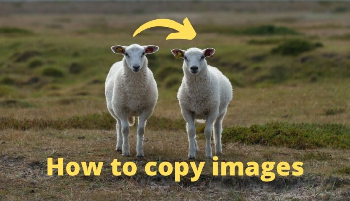 How to copy images - deskMate